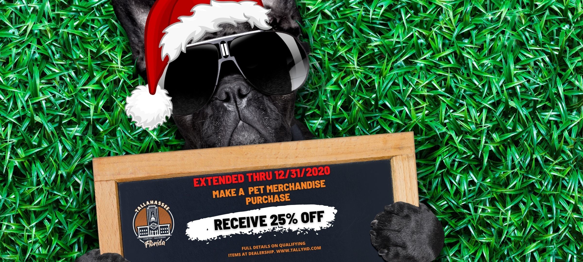 Home | Tallahassee Harley-Davidson - New Ownership